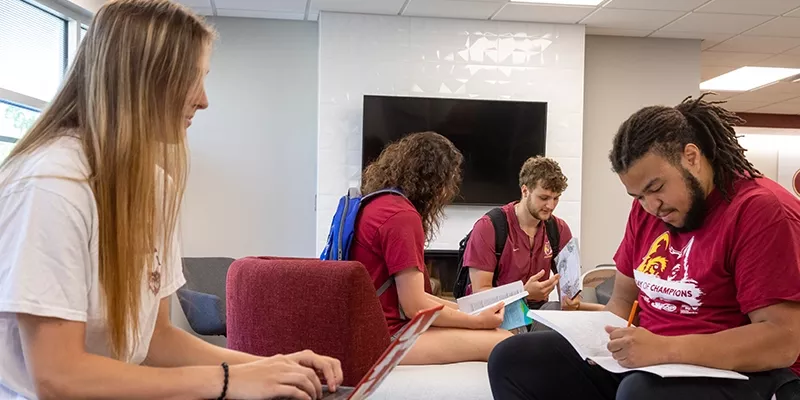 CallOut800x600.webp | Northern State University